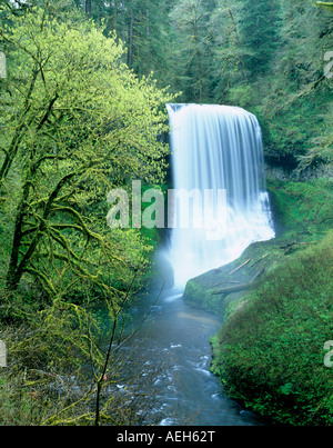 Waterfall, Middle North Falls, dense autumn vegetation, Silver Falls ...