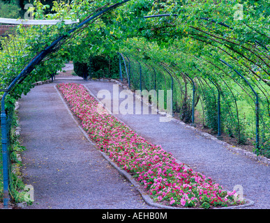 Impatiens lined path into rose garden at Point Defiance Park Tacoma ...