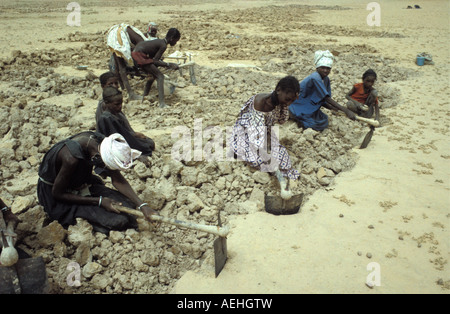 Mali Gao, Sahara desert. People digging for something eatable like ...