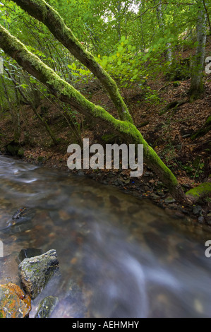 Rio Arga Quinto Real Navarra España, Arga River Navarre Spain Stock ...
