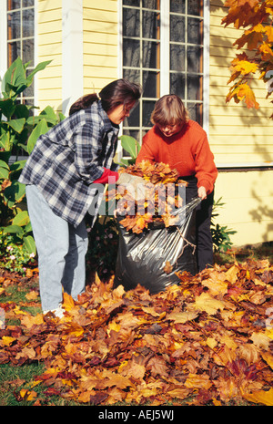 View of person collecting fallen leaves from trees in autumn garden and ...