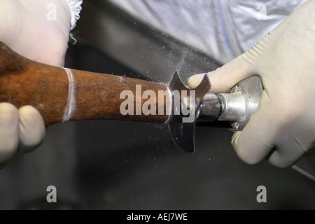 Cutting section of human bone to make sample for DNA analysis ...