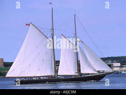 Bluenose II schooner in Halifax harbor, Nova Scotia, Canada Stock Photo ...