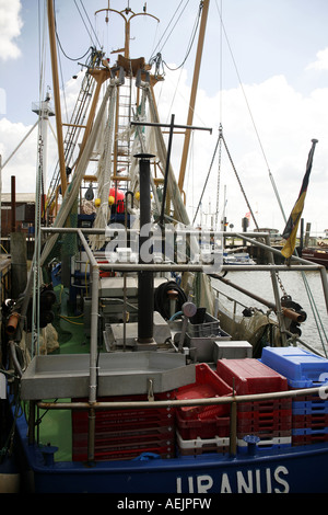 Fishing cutter, port of Dornumersiel, East Frisia, Lower Saxony ...