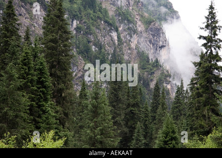 The misty, primeval forests of the Minshan (or Min Mountains) in ...