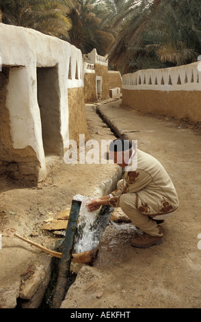 Libya, Sahara desert, irrigation system Stock Photo: 39263531 - Alamy