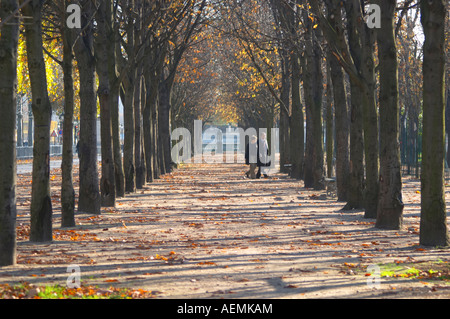Along the Les Champs Elysees street park, tree lined allee, single ...