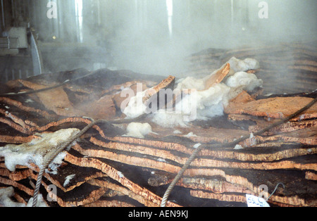 Cleaning and boiling cork oak tree bark. Amorim cork production plant ...