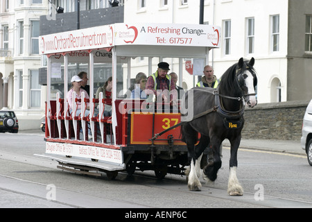 Manx transport Horse Drawn tram douglas isle of man IOM Stock Photo - Alamy