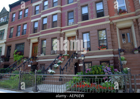 Horticulture in the Fort Greene neighborhood in Brooklyn in NYC Stock ...