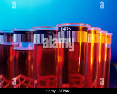 barcode tags on testtubes Stock Photo - Alamy