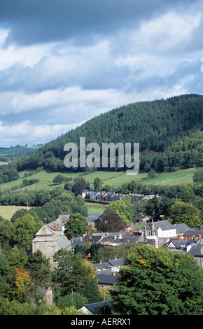 agriculture Livestock Powys sheep sales all wales Montgomeryshire ...