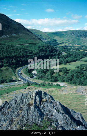 agriculture Livestock Powys sheep sales all wales Montgomeryshire ...