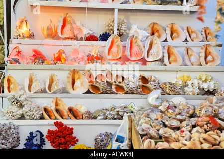 Shell Store Harbour Old Rhodes Town Greek Islands Greece Hellas Stock ...