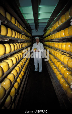 Stompetoren Neerlandia cheese factory Stock Photo - Alamy