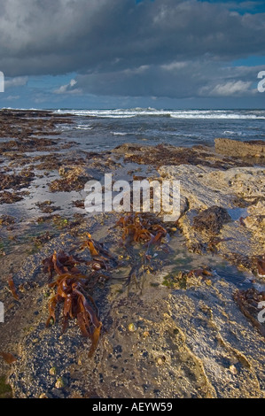 Rocks In Beadnell Bay Stock Photo - Alamy