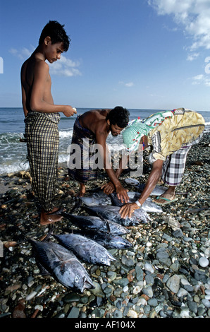 Fish Market Hadibu Socotra Island Yemen Stock Photo - Alamy