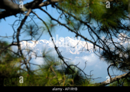 A VIEW OF THE KUMAON RANGES IN HIMALAYAS UTTARANCHAL INDIA Stock Photo ...