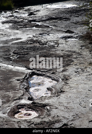 Volcanic vent spring releasing carbon dioxide in national nature ...