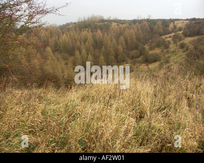 A view near the edge of the crater at RAF Fauld. Scene of the largest ...
