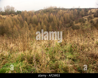 A view near the edge of the crater at RAF Fauld. Scene of the largest ...