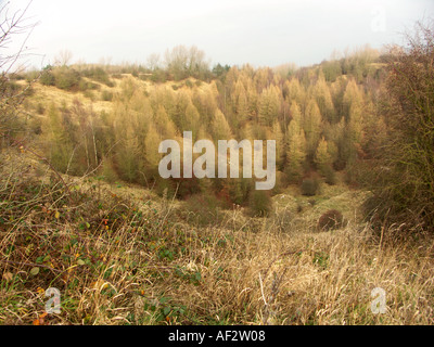 A view near the edge of the crater at RAF Fauld. Scene of the largest ...