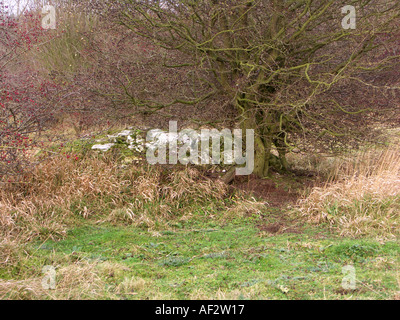 A view near the edge of the crater at RAF Fauld. Scene of the largest ...