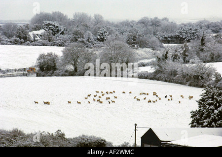 Snow covered Wadebridge on the Camel estuary, North Cornwall, England ...