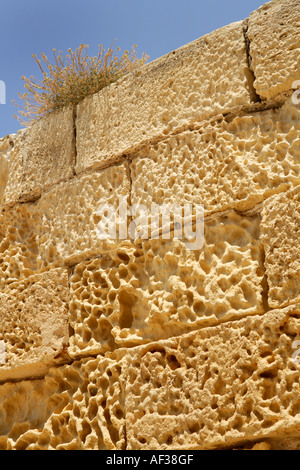 Limestone Wall Detail, The Old Citadel, Il-Kastell, Victoria (Rabat ...
