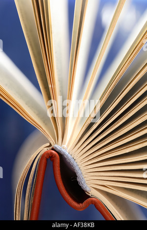 Abstract background with open printed books and blue flowers between ...