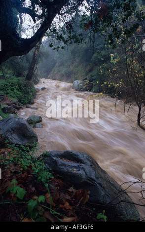 Fast moving muddy water rapids over a weir and falling down splashing ...