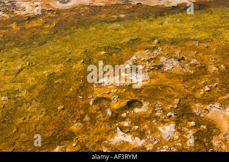 Colored Runoff from the Sapphire Pool Stock Photo - Alamy