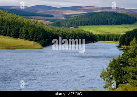 Backwater Reservoir, Angus, Scotland Stock Photo - Alamy