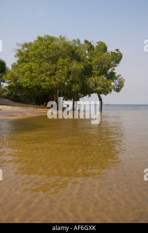 Brazil, Brazilian Amazon, Para, Alter do Chao, Ponta do Cururu beach ...