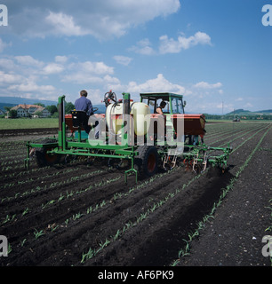 Machine for maize interrow cultivation spraying and fertilizing crop ...