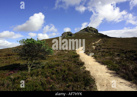 Bennachie hill, showing Mither Tap summit from the south, across ...