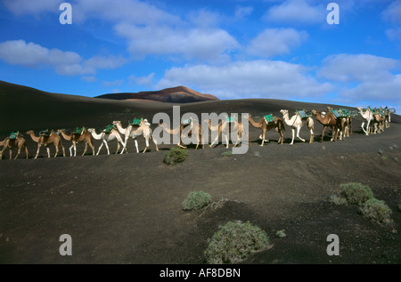 Volcanic landscape at Montañas del Fuego Timanfaya National Park in the ...