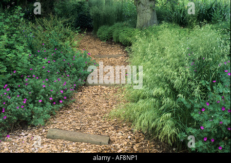 Woodland Planting, wood chip, bark, path ,bench, May, Pensthorpe Wave ...