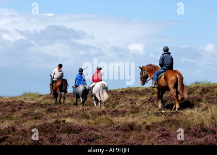 Pony trekkers on Brendon Common, Exmoor, Devon, England, UK Stock Photo ...