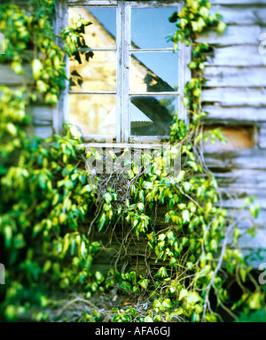 Fiddleford Mill, Sturminster Newton, Dorset, England, UK Stock Photo ...