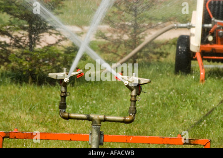 Water double sprinkler irrigating grass lawn in garden Stock Photo - Alamy