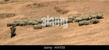 Hani people herding sheep on mountain slope Yunnan China Stock Photo ...