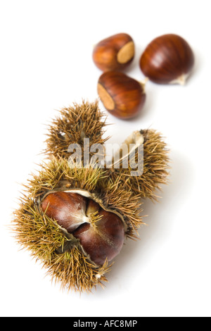 Chestnuts with shells on white background Stock Photo - Alamy