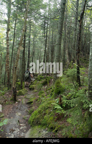 Appalachian Trail-- Hikers heading south on Kinsman Ridge Trail in the ...