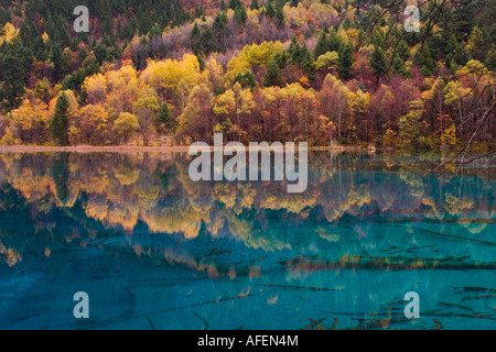 Long Lake (Chang Hai) in Jiuzhai Valley National Park, China Stock ...