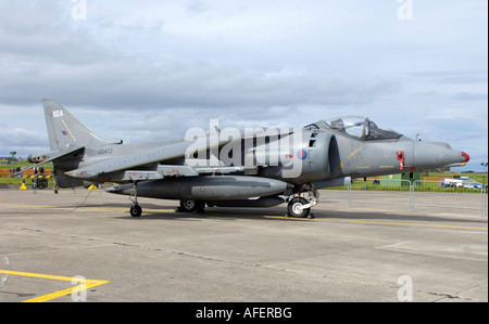 BAe Harrier GR7 Cockpit Canopy & Air Intake Stock Photo - Alamy