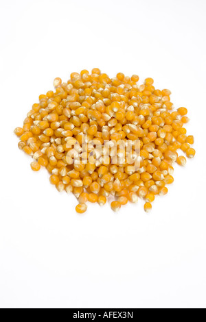Yellow unpopped popcorn corn kernels, closeup detail photo, image width ...