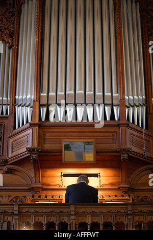 Organ of St. Thomas Church where Johann Sebastian Bach worked as ...