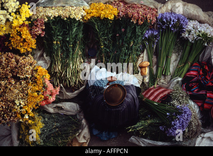 BOLIVIA Flower seller, La Paz photo by Sean Sprague Stock Photo - Alamy