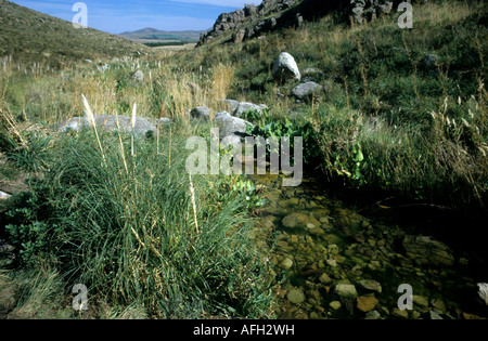 Mountain valleys and a little blue stream flowing between the rocks ...